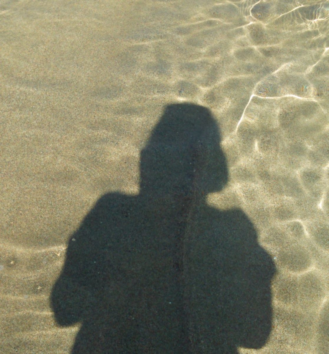 About – Dilys Rose